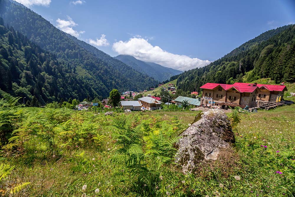 Rize City Guide - Motley Turkey