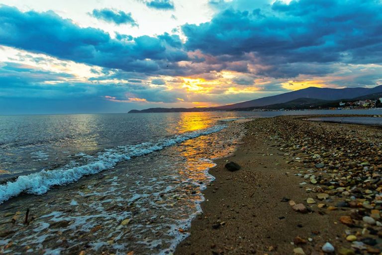 Motley Turkey - Motley Turkey | All about Turkey