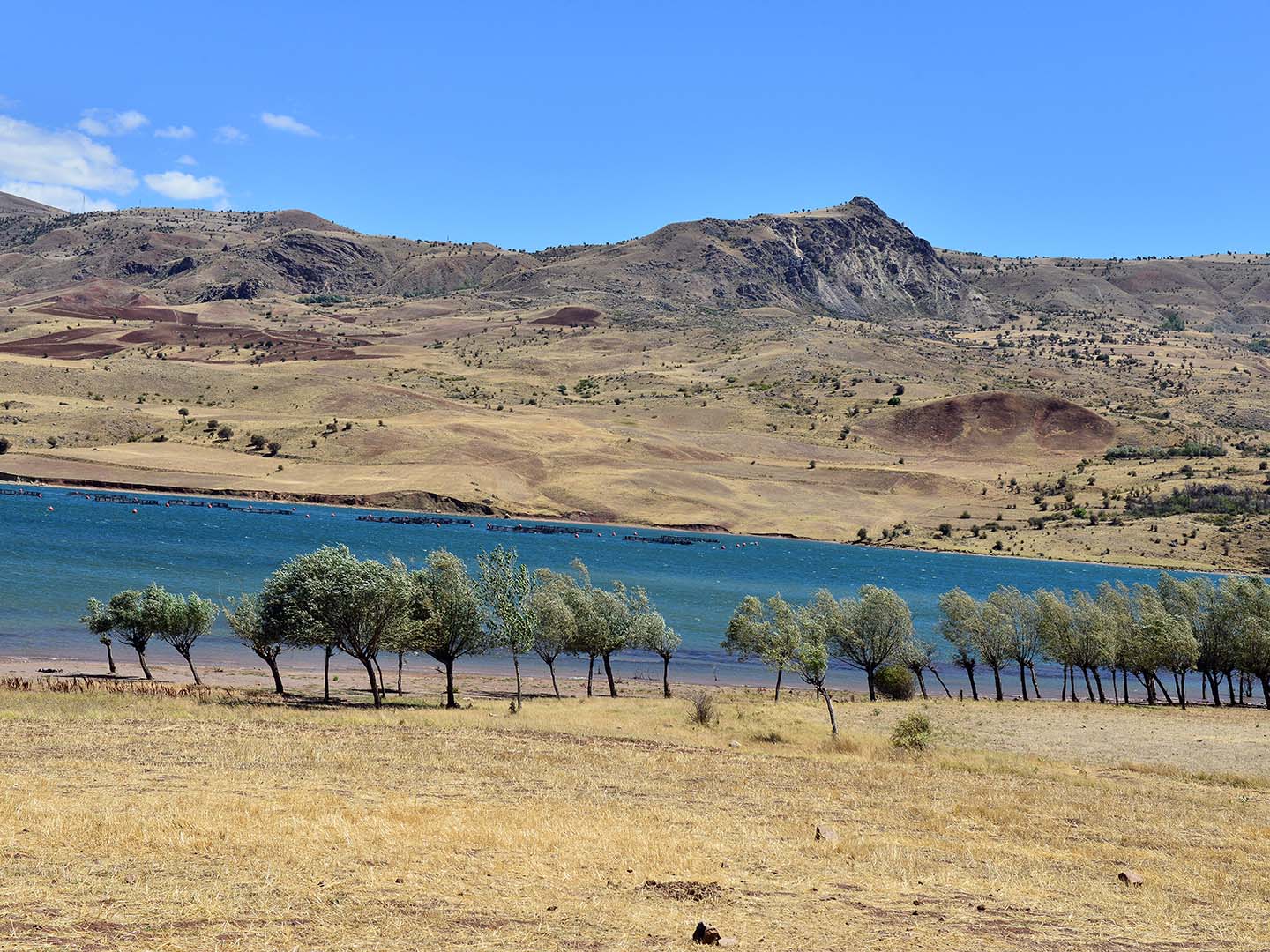 Sivas City Guide - Motley Turkey