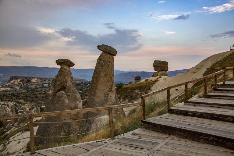 Motley Turkey - Motley Turkey | All about Turkey