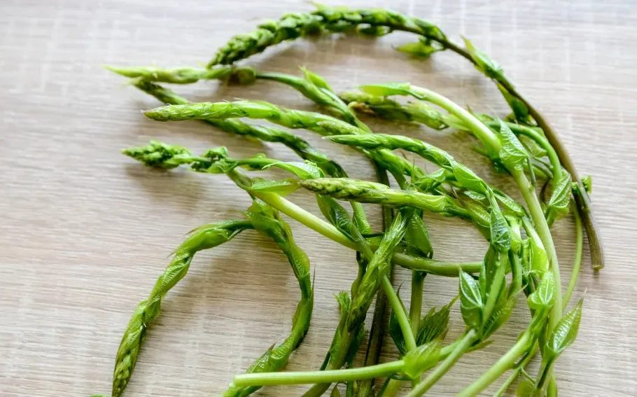 Legendary Aegean Cuisine: From Wild Greens to Iconic Dishes - Motley Turkey